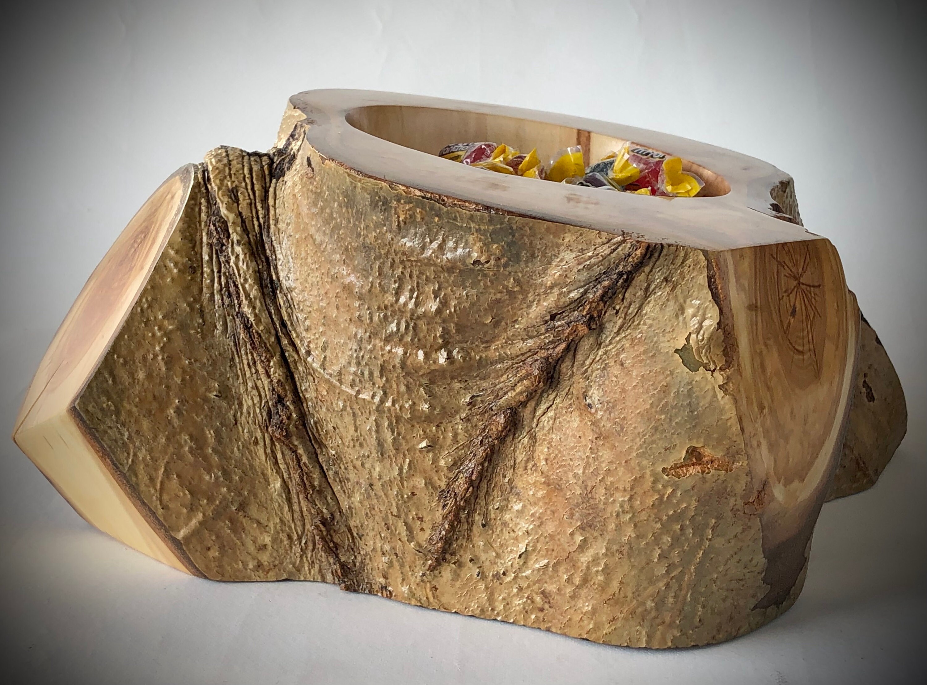 Aspen Tree Trunk Bowl Vessel - Etsy