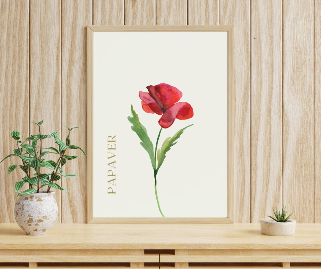 Common Poppy Botanical Print, Poppy Botanical Art Print, Poppy Wall Art ...