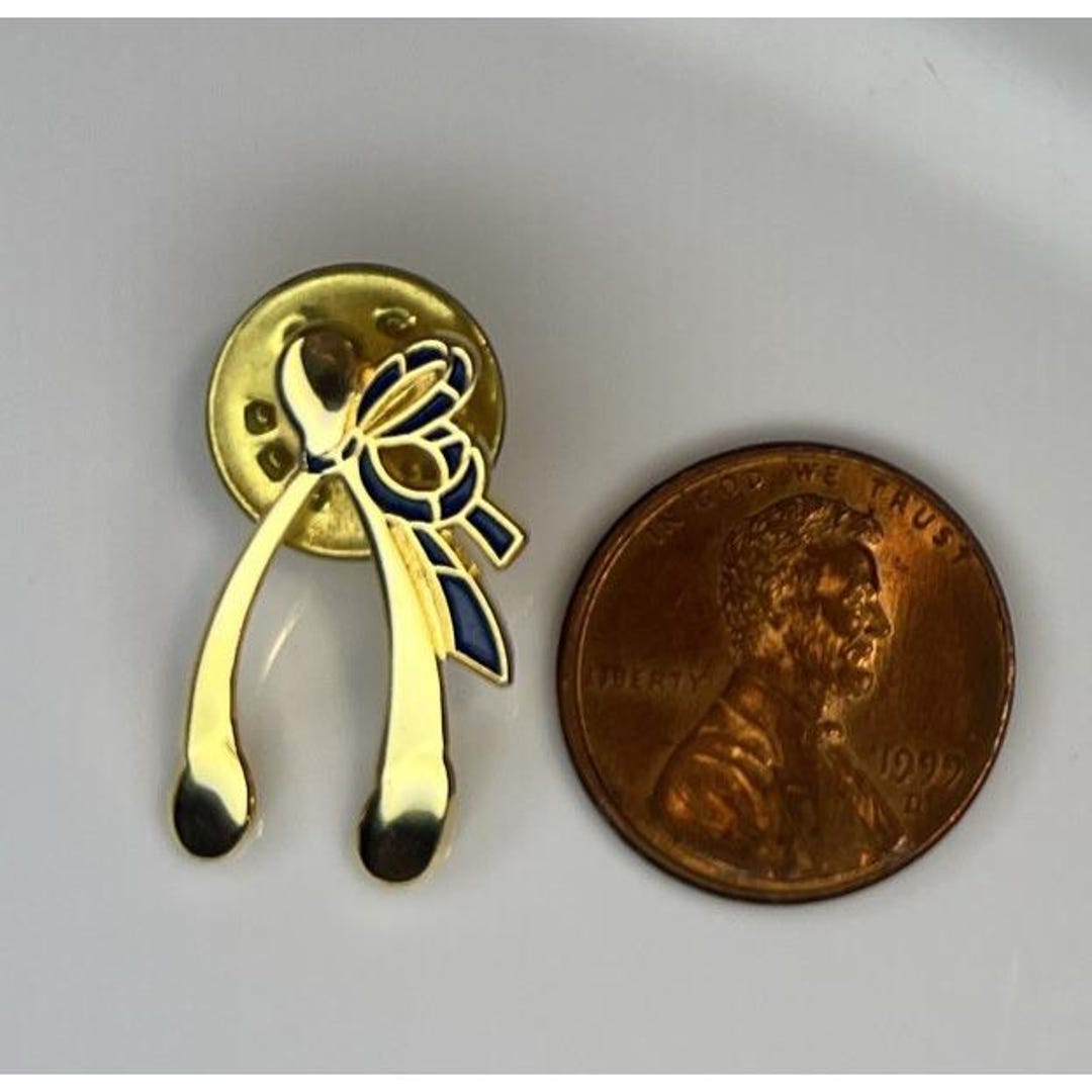 Vintage Pin - Wishbone Wish Bone Ribbon Enamel Gold Tone Metal - Etsy