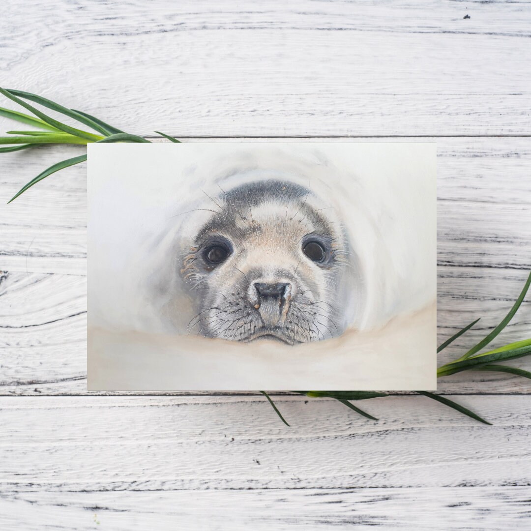 Blank Seal Greeting Card Ocean Life Theme Quality Card Sea - Etsy