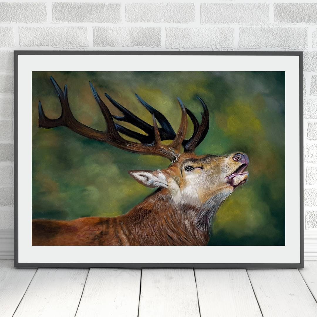 Mounted Stag Deer Art Print Fine Art Decoration Rutting - Etsy