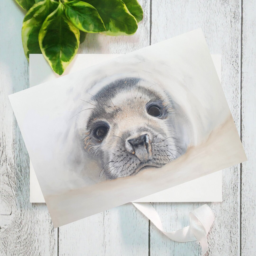 Blank Seal Greeting Card Ocean Life Theme Quality Card Sea - Etsy