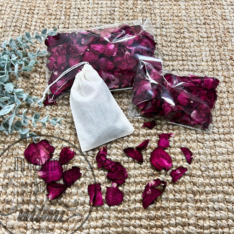 Biodegradable - Etsy