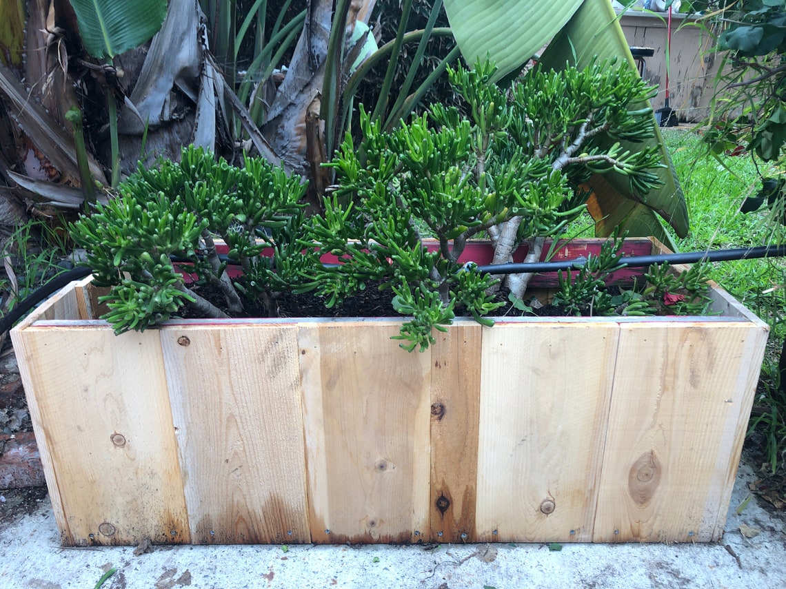 A Durable Wood Box for Planting Flowers and Plants - Etsy