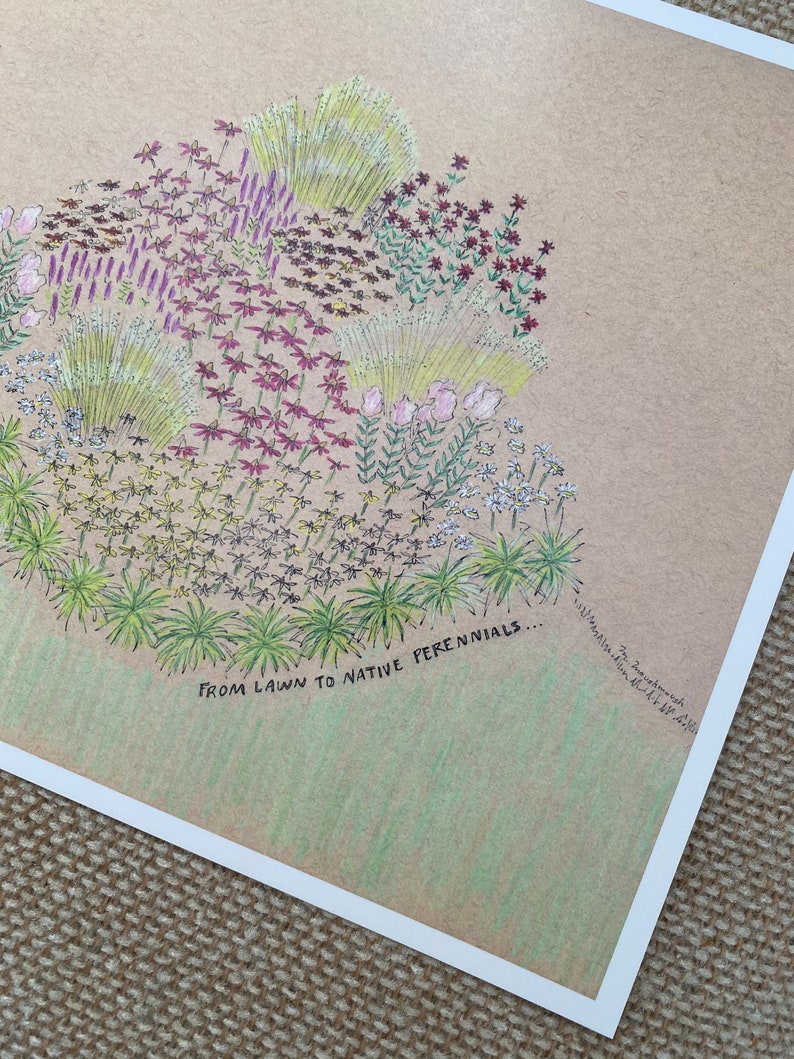Perennial Garden Pencil Drawing Print - Etsy