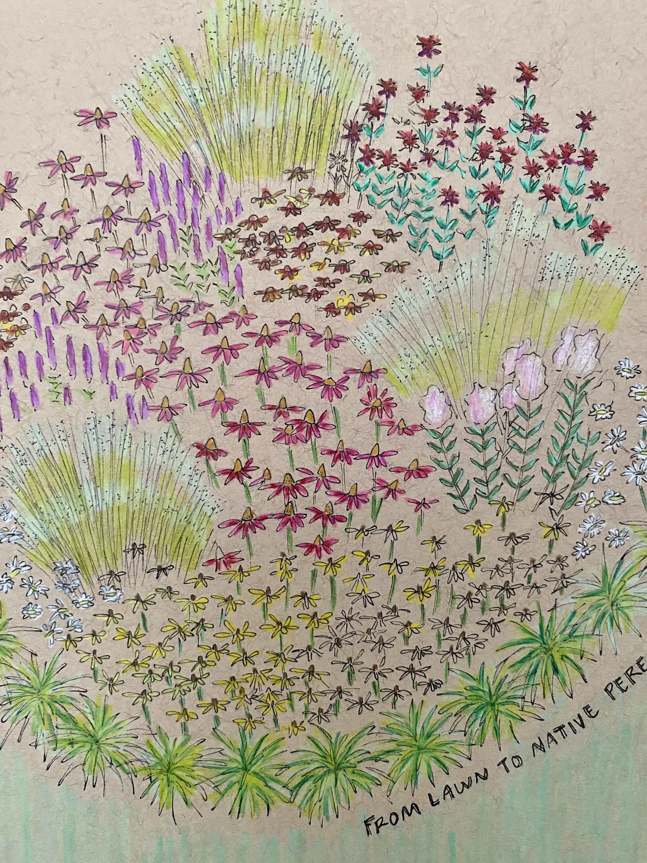 Perennial Garden Pencil Drawing Print - Etsy