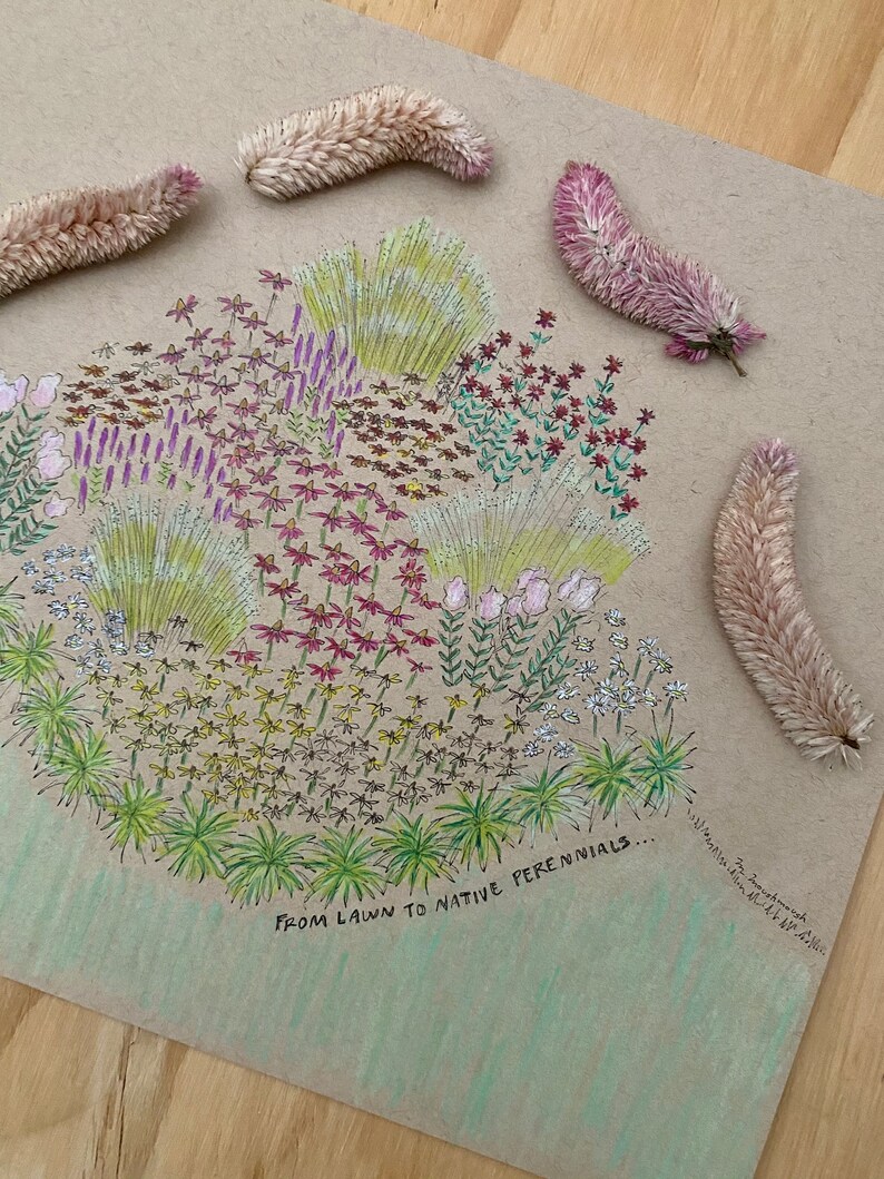 Perennial Garden Pencil Drawing Print - Etsy