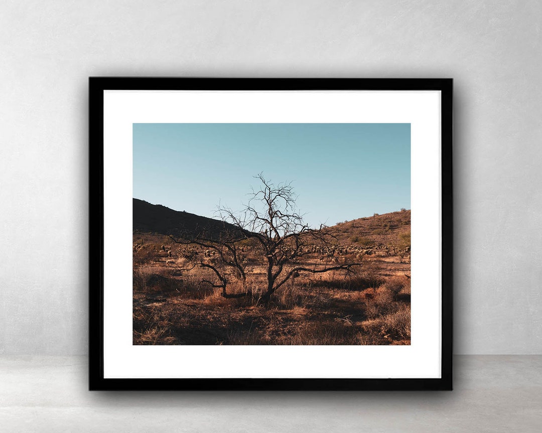 Arizona Poster Print,scottsdale,landscape Photo,printable Wall Art ...