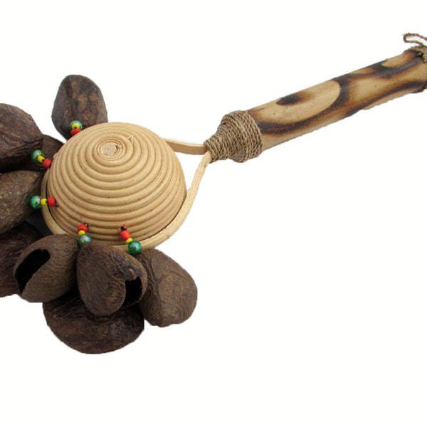 Unusual Seed Pods - Etsy