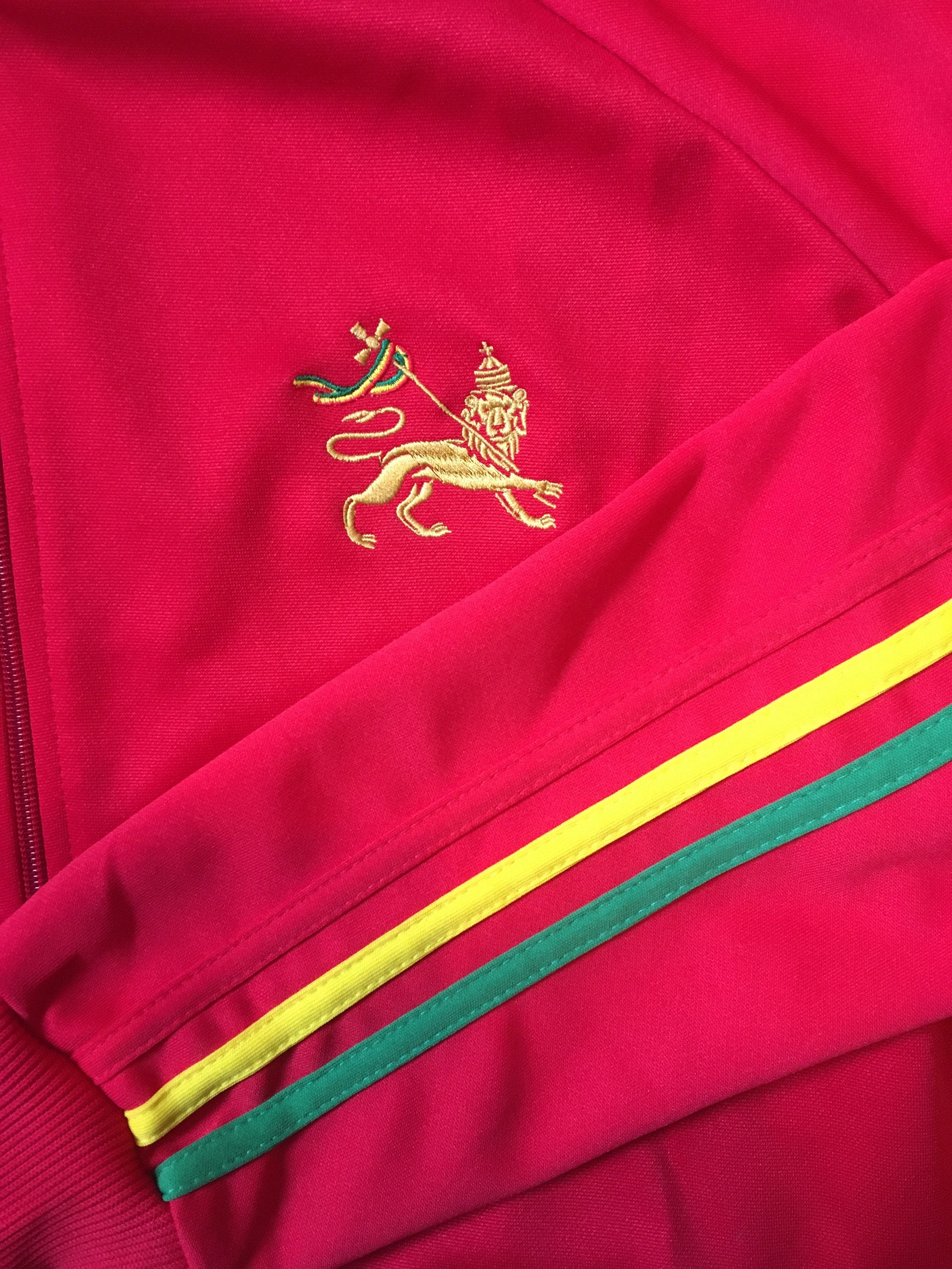 Rasta Stripe Zip up Track Jacket With Lion Motif | Etsy