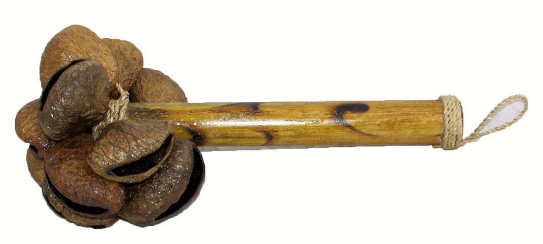 Ethnic Seed Pod Shaker Instrument - Bamboo and Pangi Seeds - Etsy