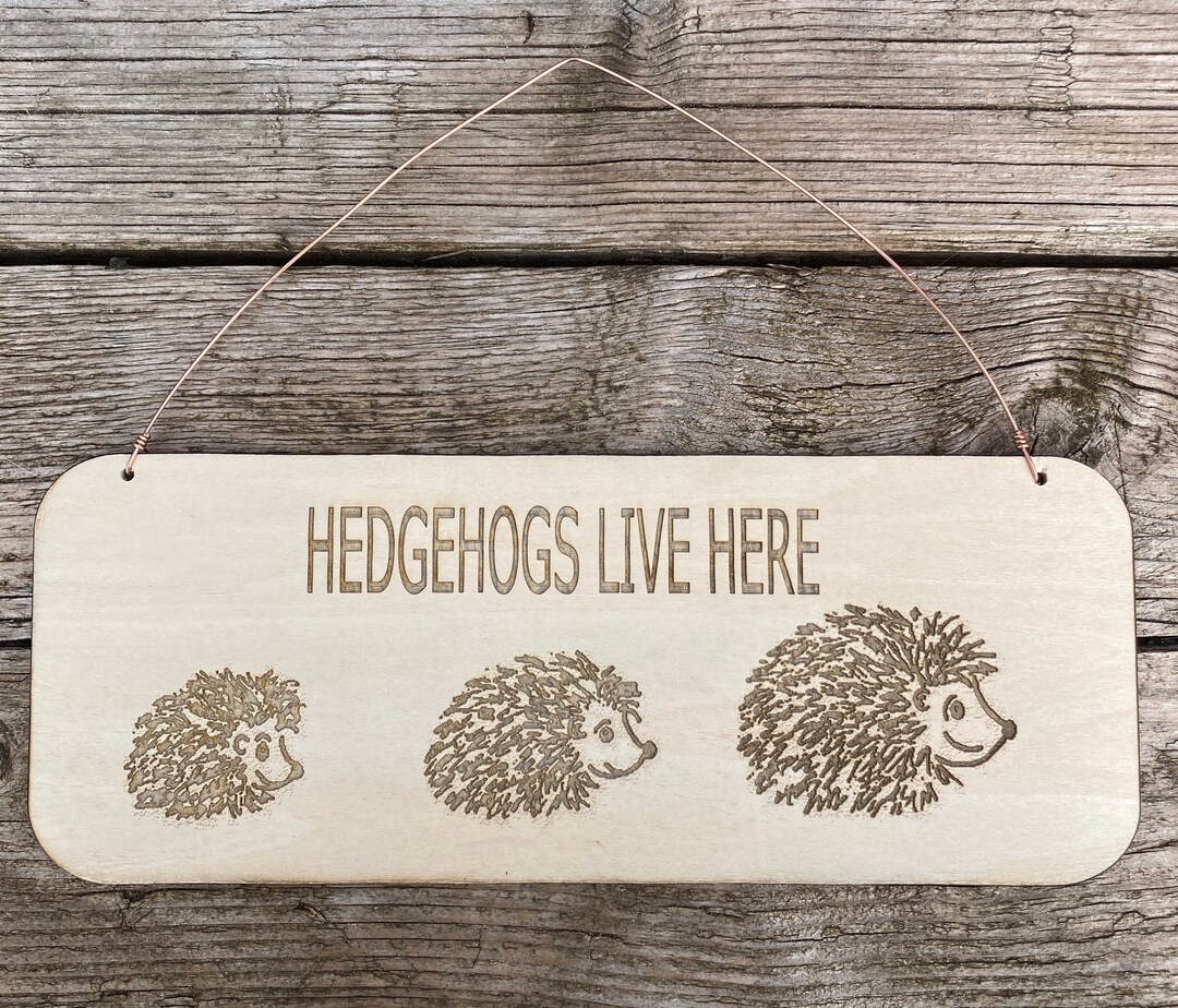 Hedgehog Original Art Wooden Sign, A Donation From Every Sale of This ...