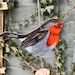 Robin Wind Chime, Original Art , Laser Cut Hand Painted Wooden Robin ...