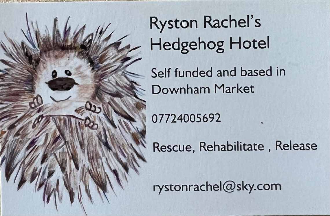 Hedgehog “welcome” Wood Sign. Original Art , Hand Painted. A Donation ...