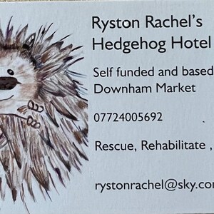 Hedgehog “welcome” Wood Sign. Original Art , Hand Painted. A Donation ...