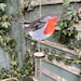 Robin Wind Chime, Original Art , Laser Cut Hand Painted Wooden Robin ...