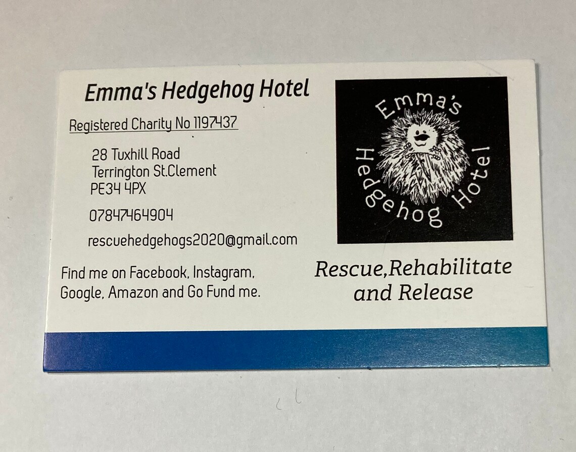 Hedgehog welcome Wood Sign. Original Art Hand Painted. A - Etsy