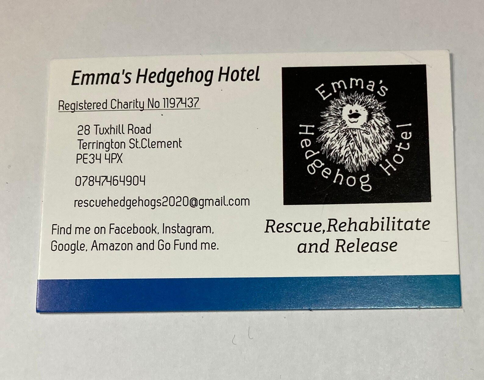 Hedgehog welcome Wood Sign. Original Art Hand Painted. A - Etsy