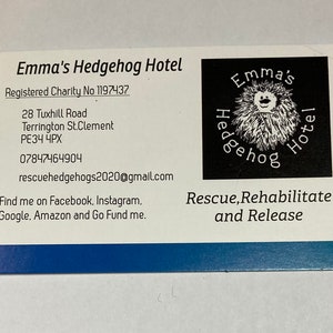 Hedgehog welcome Wood Sign. Original Art Hand Painted. A - Etsy