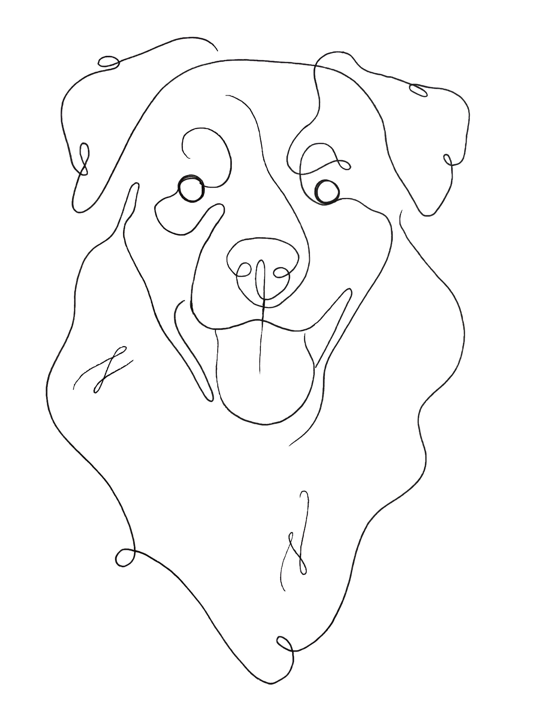 Australian Shepherd One Line Pet Portrait DIGITAL DOWNLOAD, Australian ...