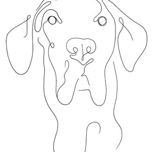 Great Dane One Line Pet Portrait DIGITAL DOWNLOAD, Great Dane Print ...