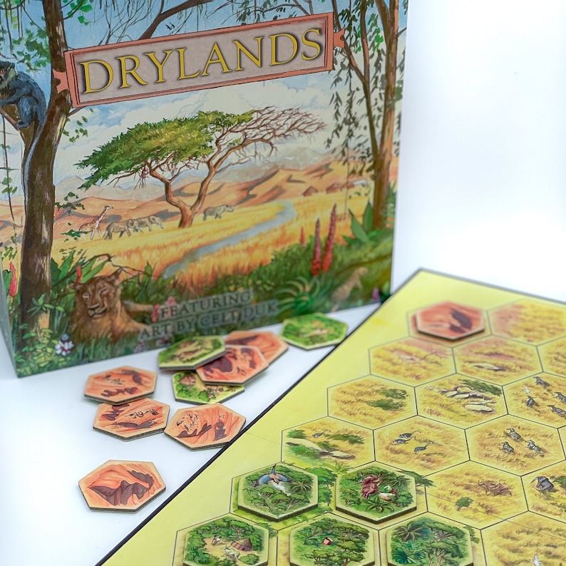 Drylands Board Game Two Player Abstract Game Set in Africa - Etsy