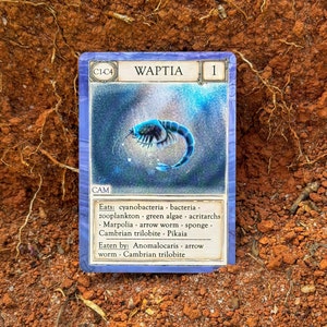 Ecologies: Ancient Areas - Explore Extinct Ecosystems From the Past ...