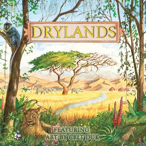 Drylands Board Game - Two Player Abstract Game Set in Africa ...