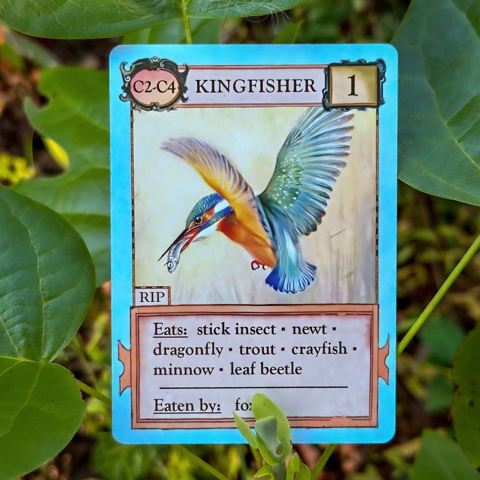 Ecologies: Bizarre Biomes Gameplay Inspired by Nature Sequel and ...