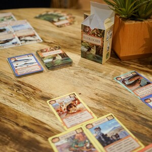 Ecologies Card Game - Gameplay Inspired by Nature - Use Science to ...