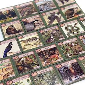 Ecologies Junior: Forest - Memory Game and Food Web Builder for Ages 4 ...