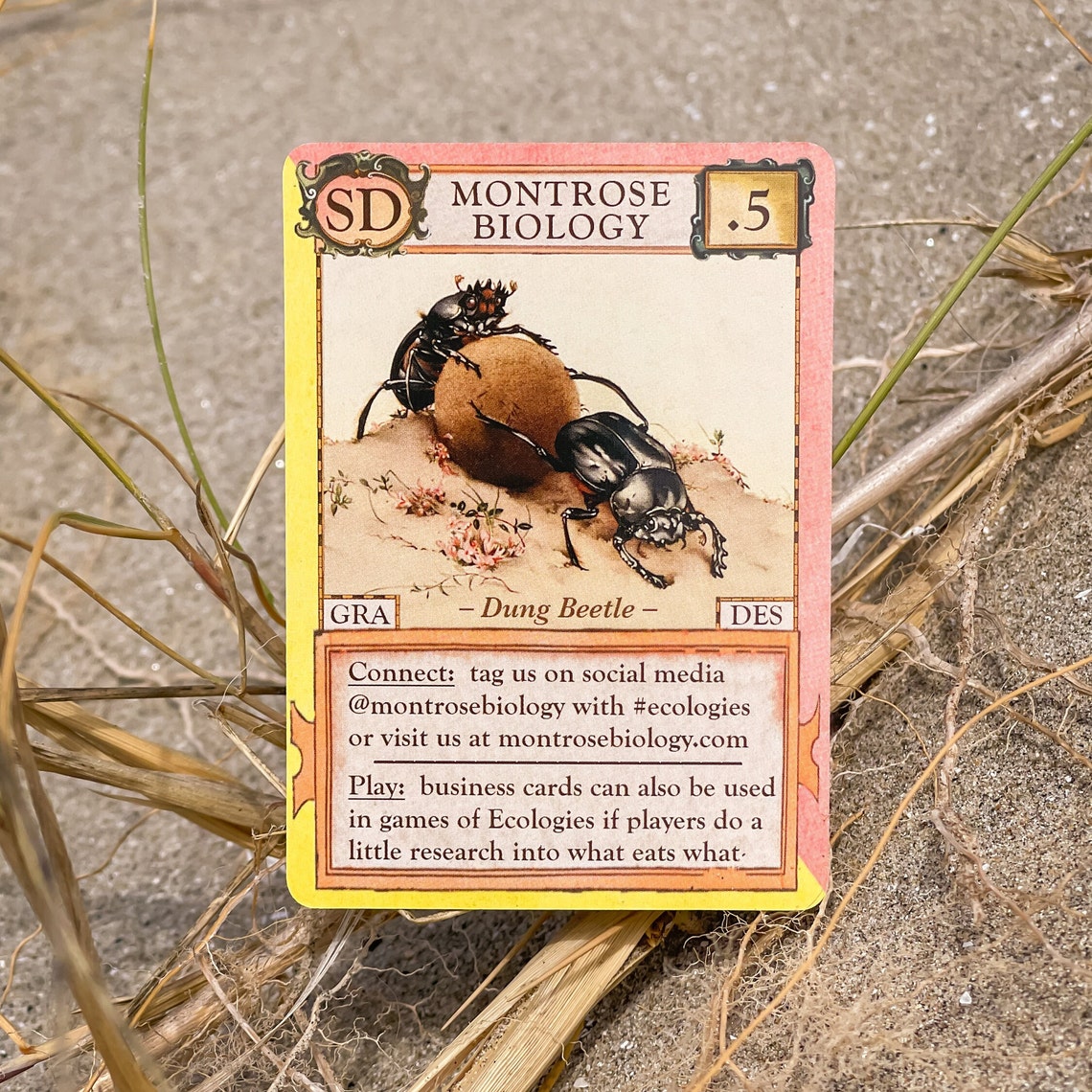 Ecologies: Contact Cards Nature Inspired Business Cards 54 - Etsy