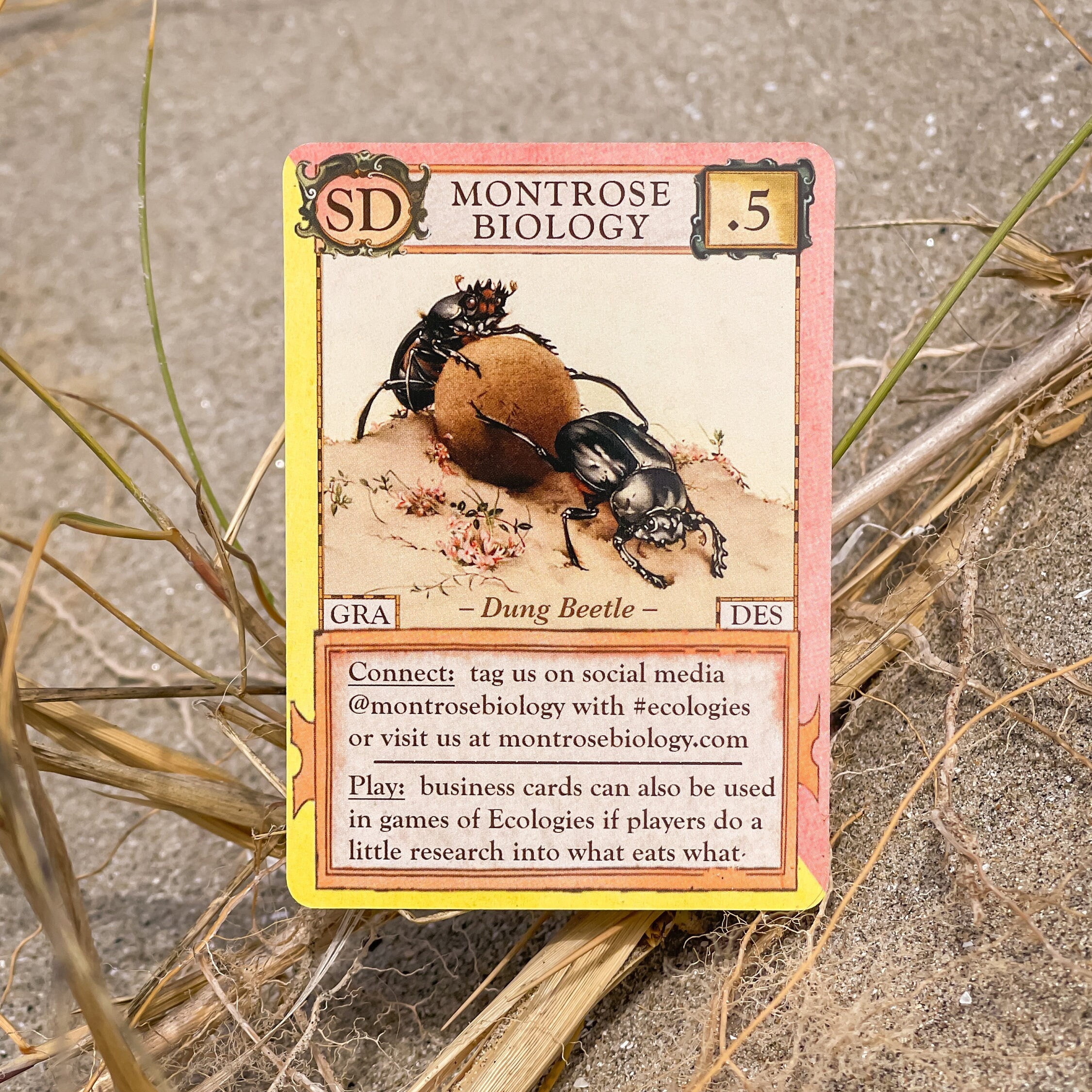 Ecologies: Contact Cards Nature Inspired Business Cards 54 - Etsy