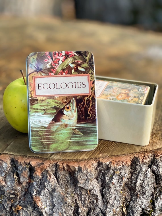 Ecologies Tin Durable Metal Travel Box for Card Games Natural Treasures Trinket Storage Featuring Beautiful Vintage Art Etsy