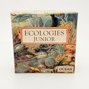 Ecologies Junior: Ocean - Memory Game and Food Web Builder for Ages 4 ...