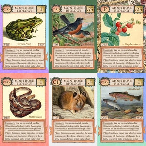Ecologies: Contact Cards - Nature Inspired Business Cards - 54 Unique ...