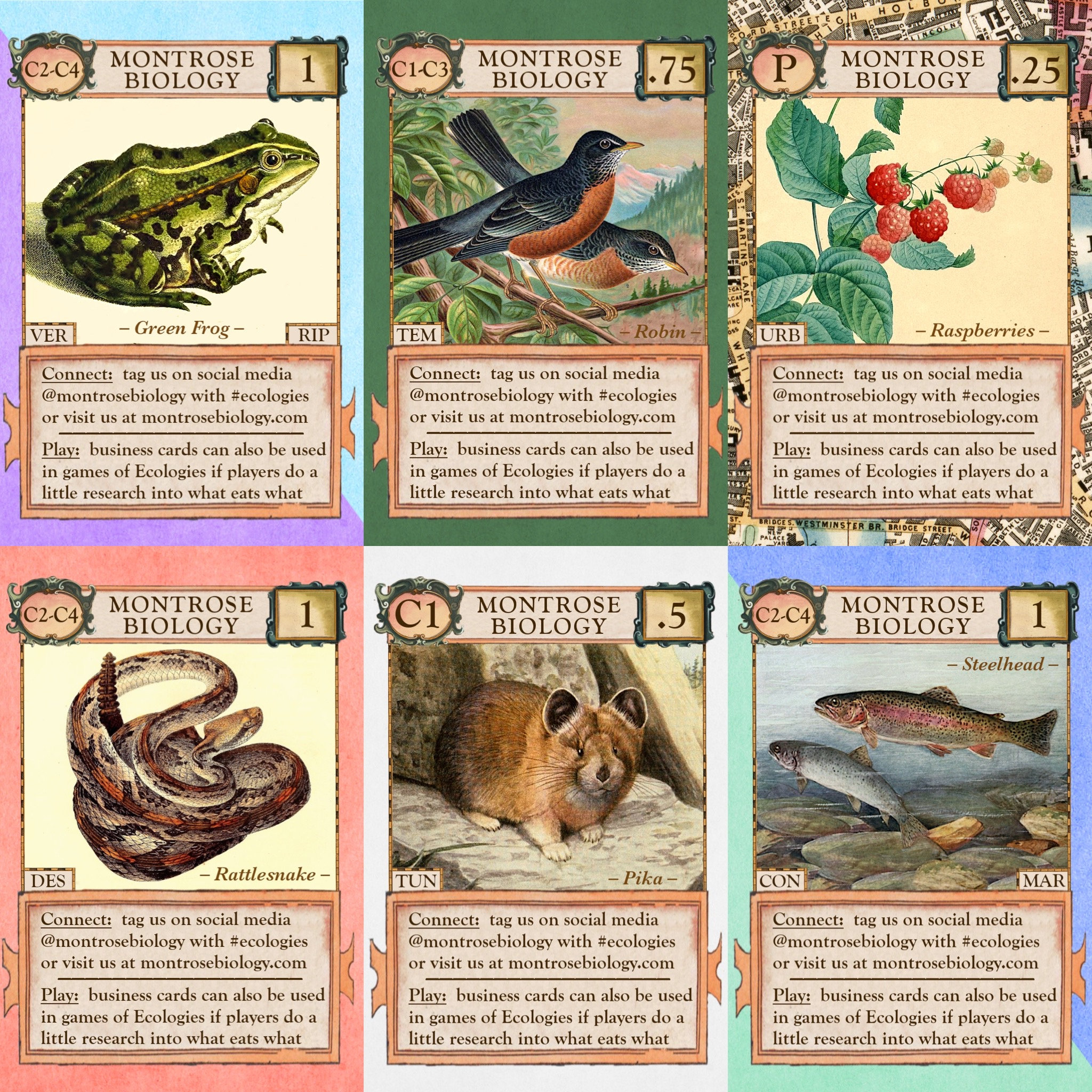 Ecologies: Contact Cards Nature Inspired Business Cards 54 - Etsy