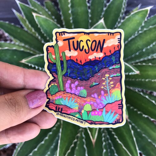 Vinyl Sticker Pink Tucson Weatherproof Decal Cactus Sticker - Etsy