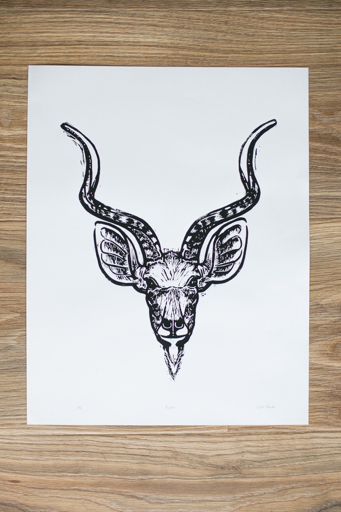 African Kudu, South African Animal, Linocut Poster 11x14 Inches - Etsy