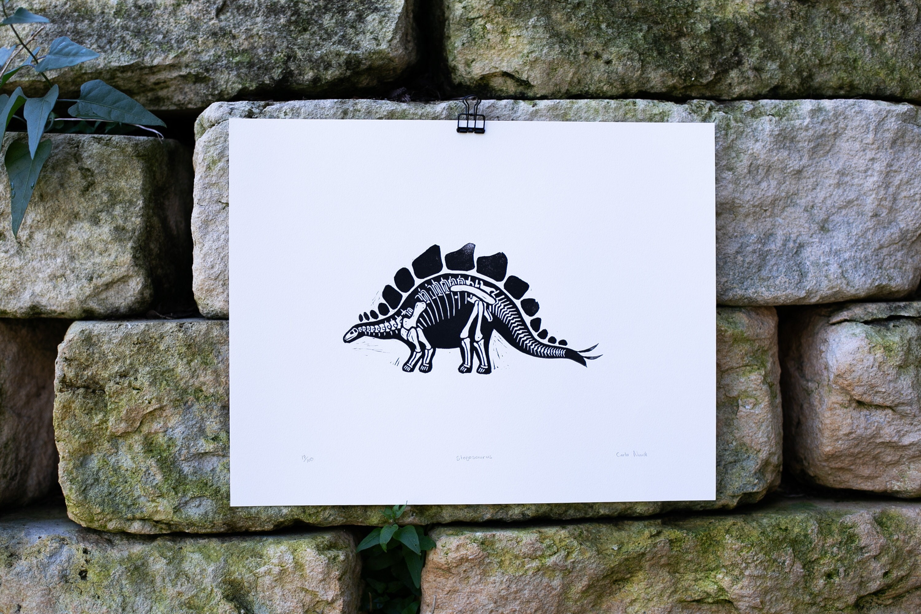 Stegosaurus, Stego Art Print, Dinosaur Skeleton Linocut Poster 11x14 ...