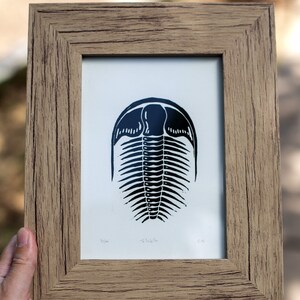TRILOBITE Dinosaur Fossil, Lino Cut Print, Wall Decor - Etsy