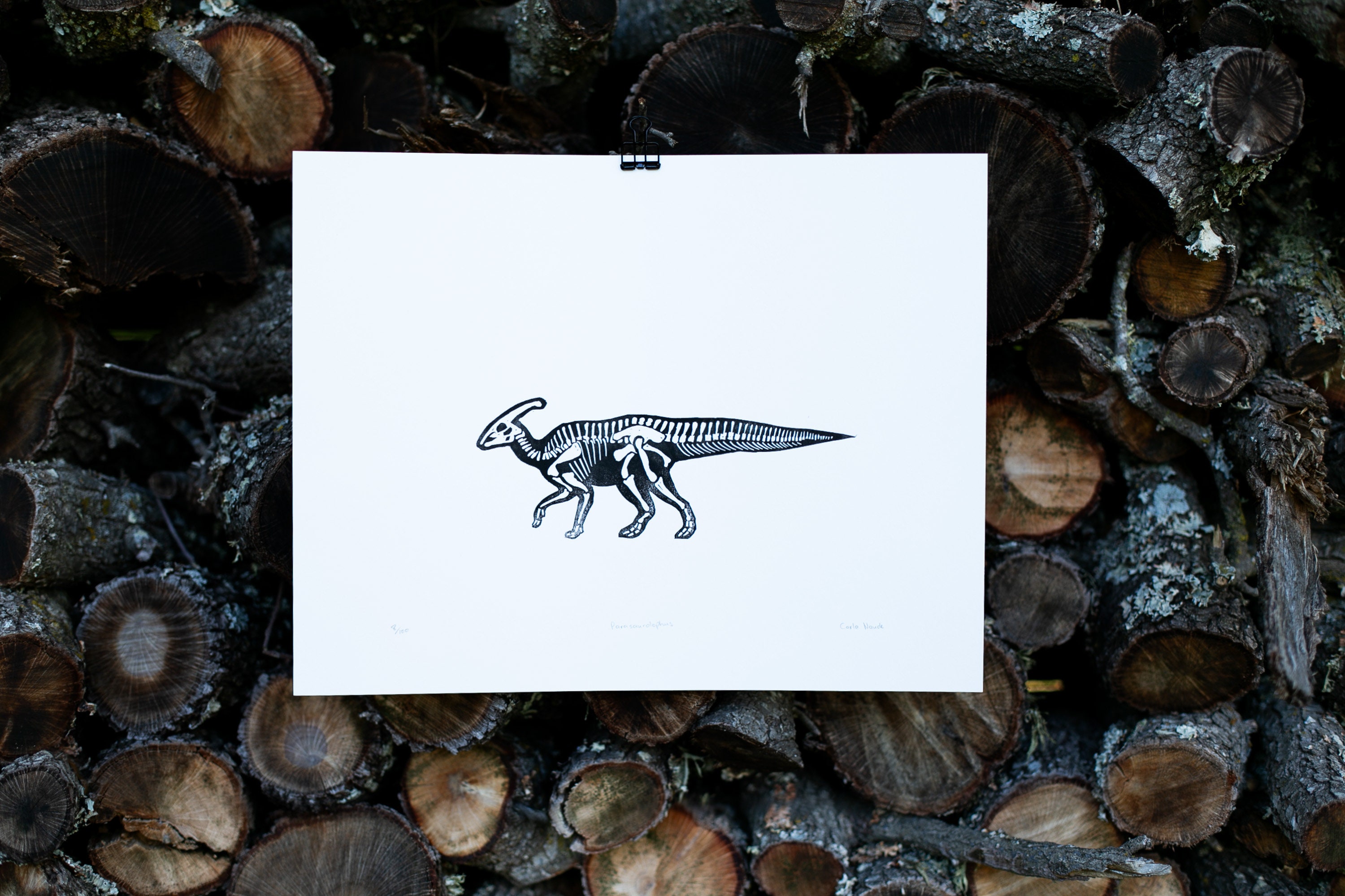Parasaurolophus, Parasaur Art Print, Dinosaur Skeleton Linocut Poster ...