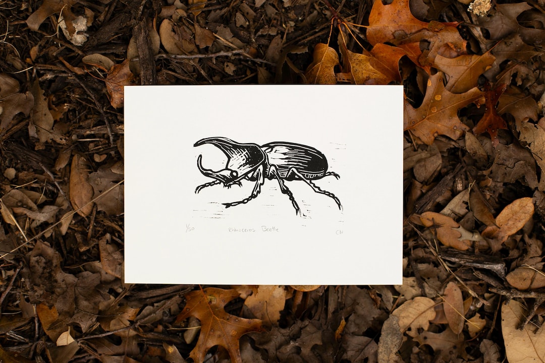 Rhinoceros Beetle Linocut Print, Wall Decor, 5"x7", Art Gift - Etsy