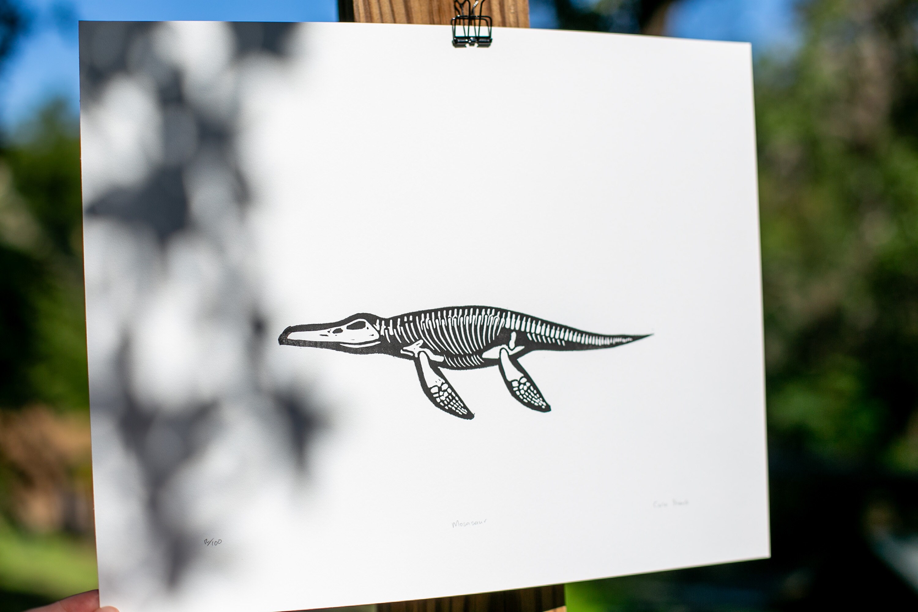 Mosasaurus, Mosasaur Art Print, Dinosaur Skeleton Linocut Poster 11x14 ...