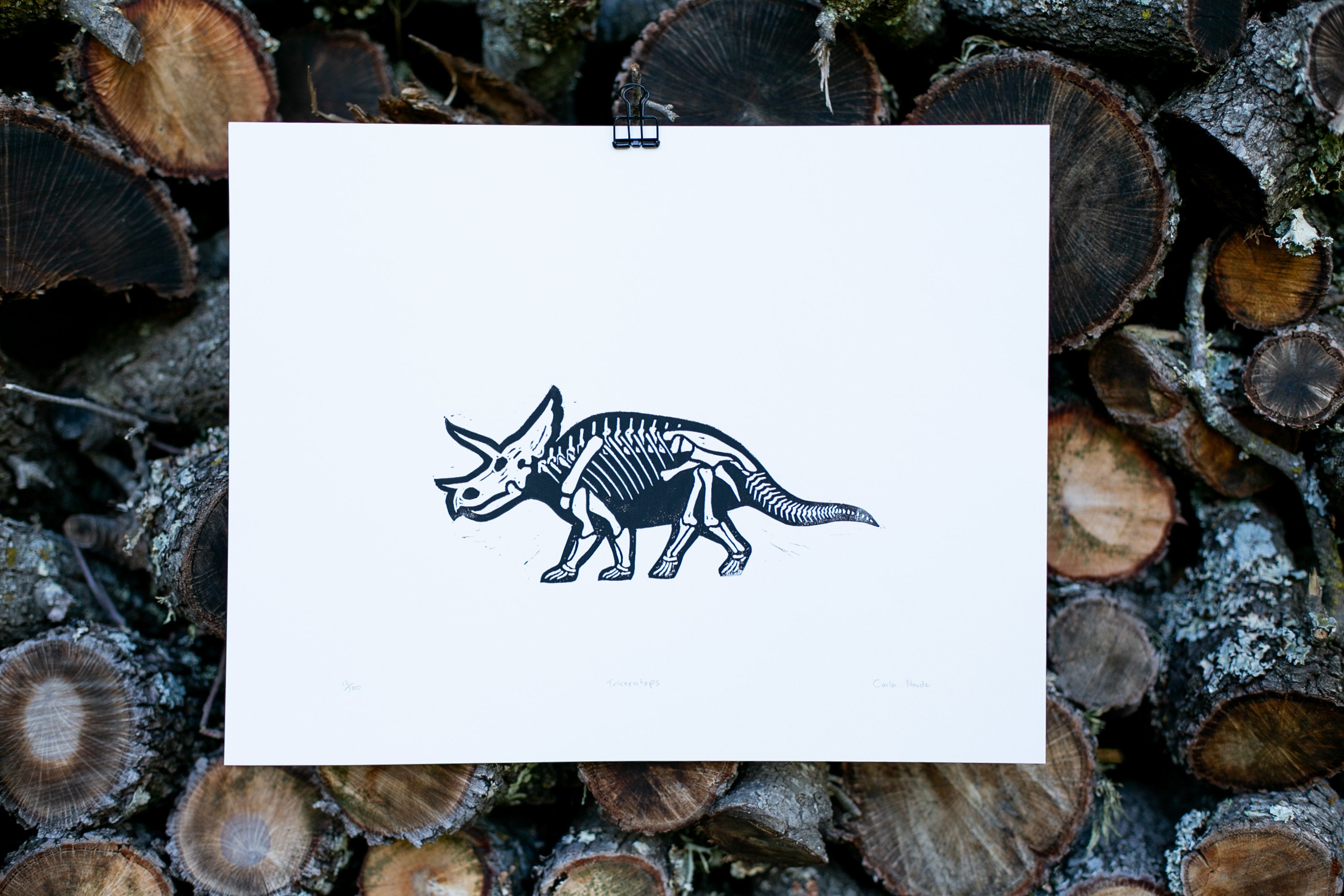 Triceratops Ceratops Art Print Dinosaur Skeleton Linocut - Etsy