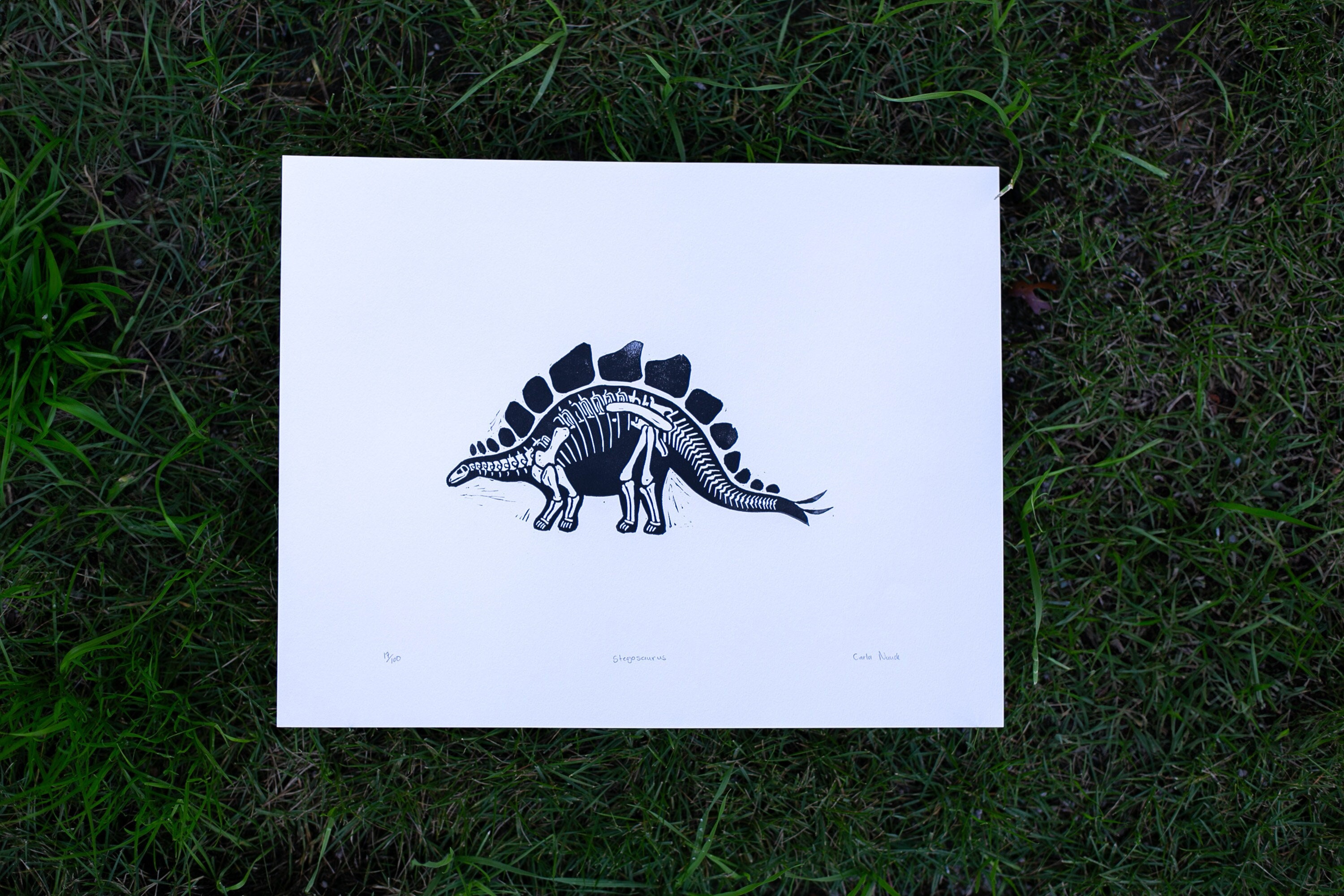 Stegosaurus, Stego Art Print, Dinosaur Skeleton Linocut Poster 11x14 ...