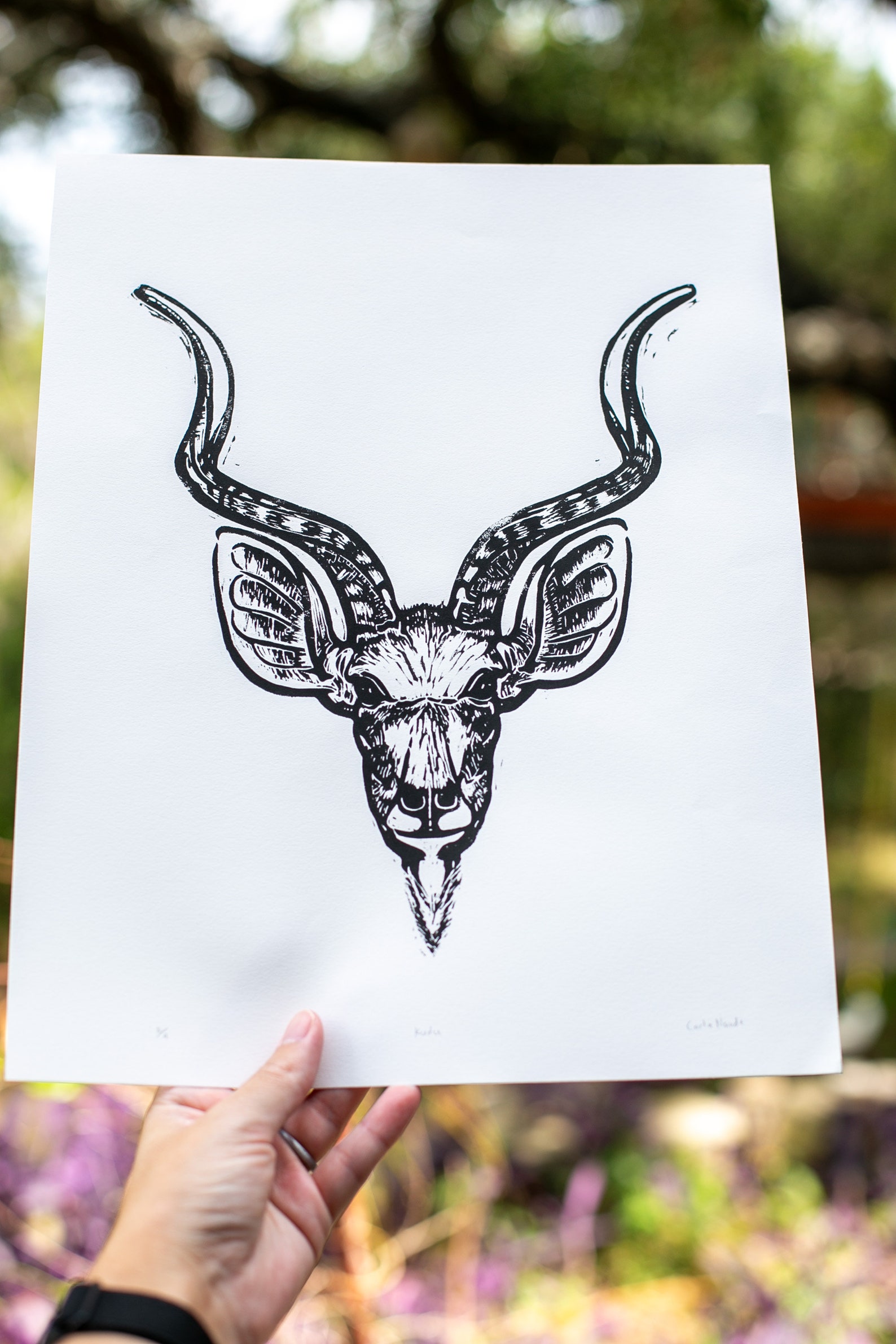 African Kudu, South African Animal, Linocut Poster 11x14 Inches - Etsy
