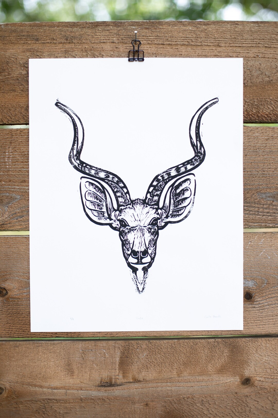African Kudu, South African Animal, Linocut Poster 11x14 Inches - Etsy