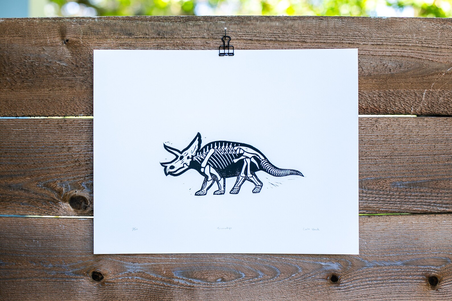 Triceratops, Ceratops Art Print, Dinosaur Skeleton Linocut Poster 11x14 ...