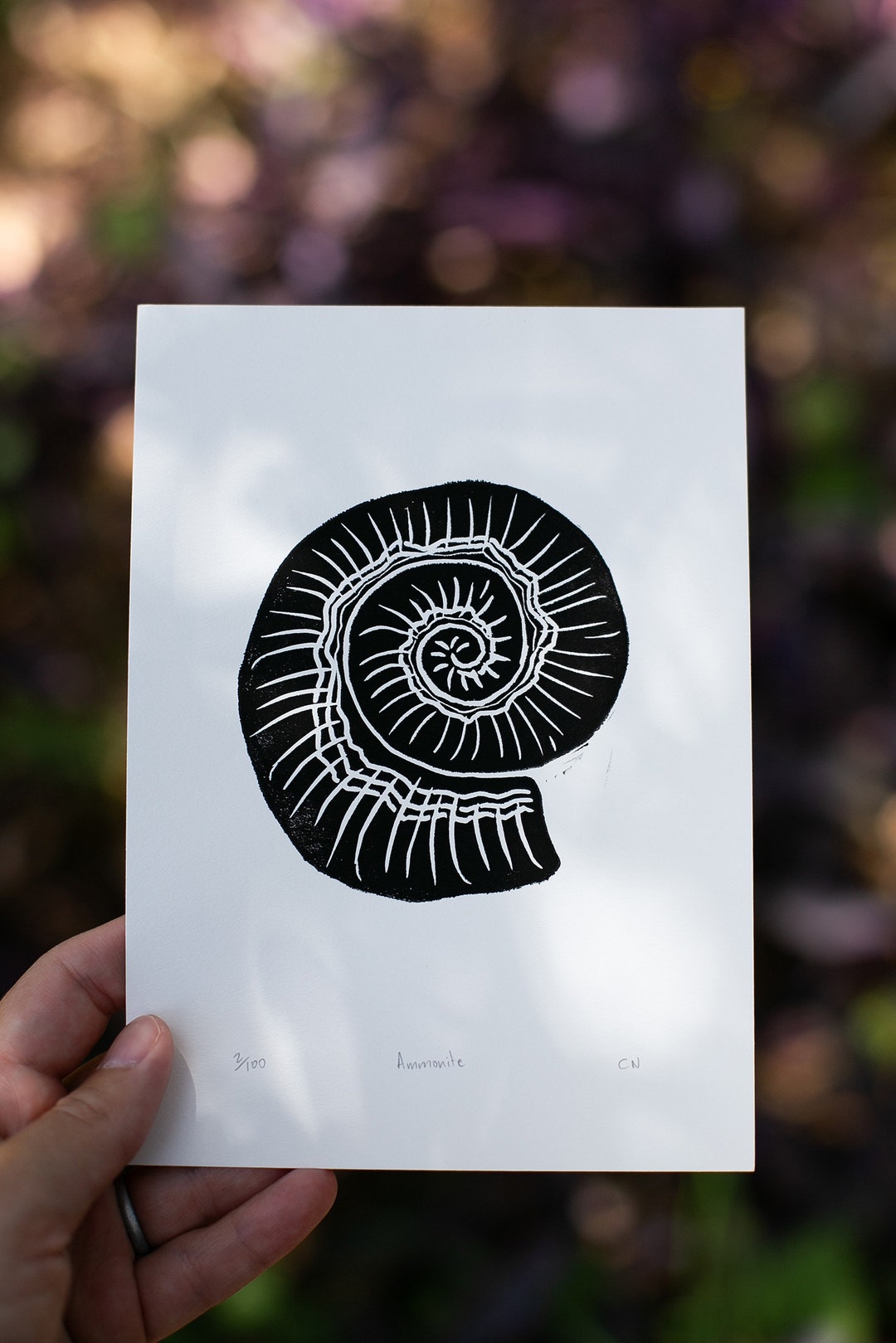 AMMONITE Dinosaur Fossil, Lino Cut Print, Wall Decor - Etsy